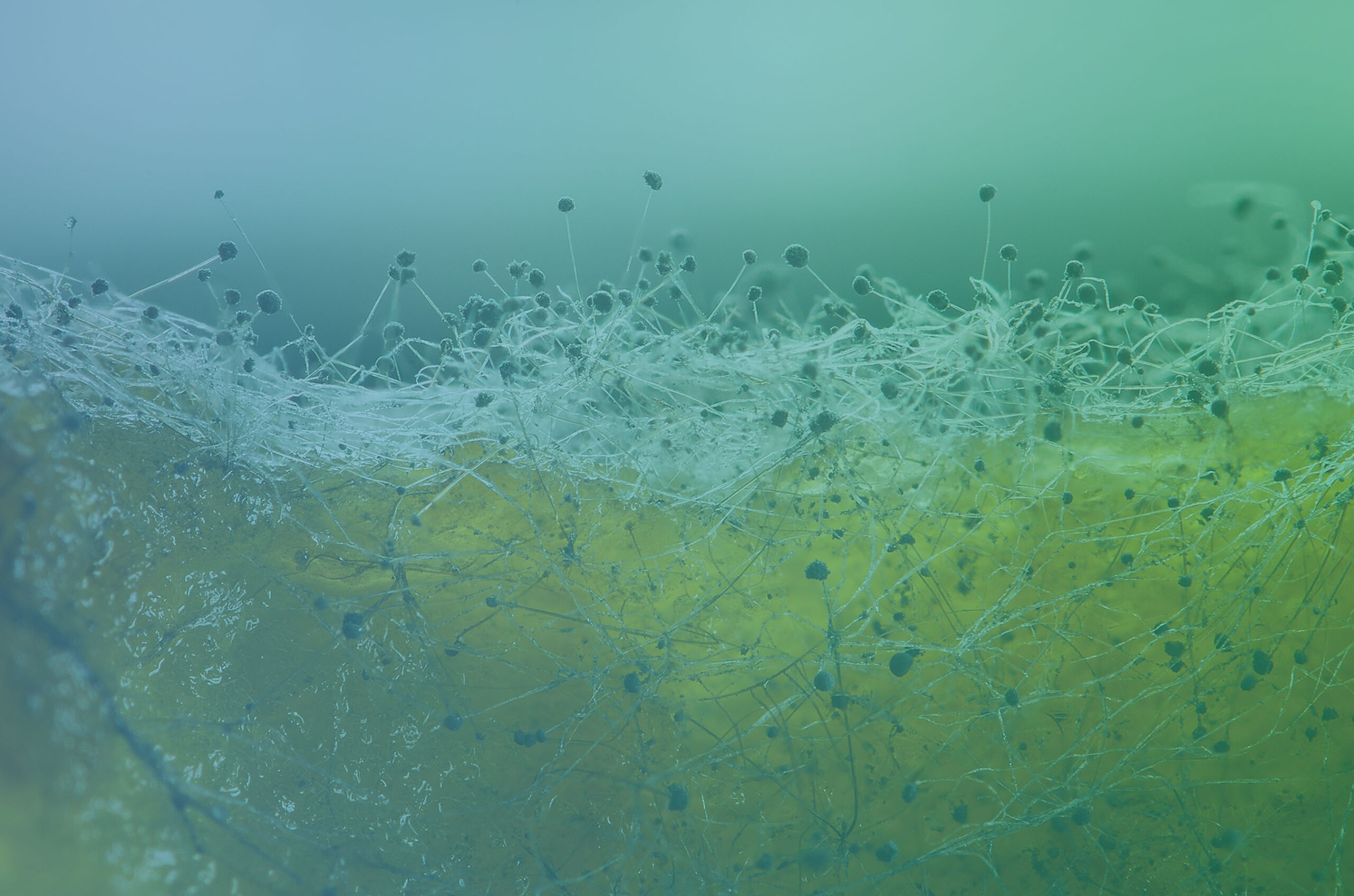 Välkommen till Alron Chemicals - Miljö & effektivitet i harmoni